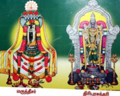 Virinchipuram Margabandeeshwarar Maragathambikai